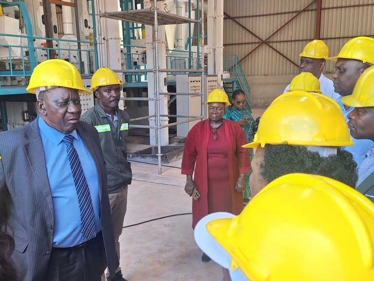 Great Zimbabwe University – GZU university of choice